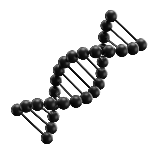 About Digital Elevator - The Digital Elevator