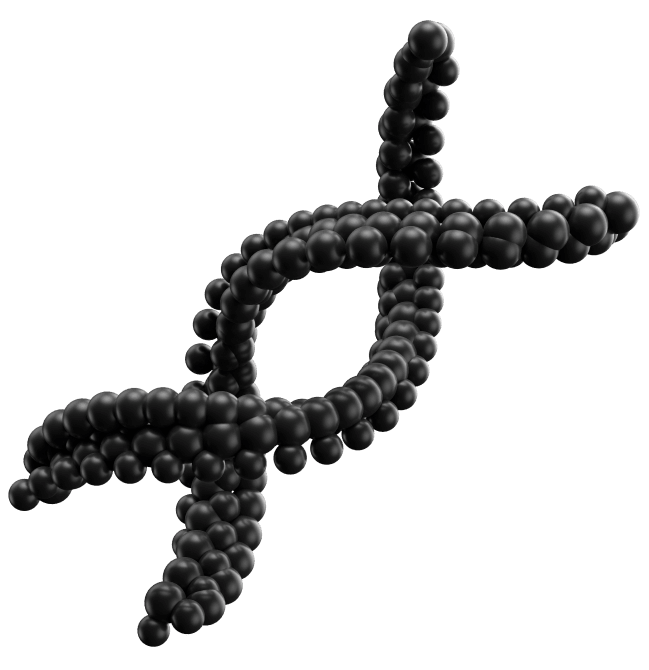 About Digital Elevator - The Digital Elevator